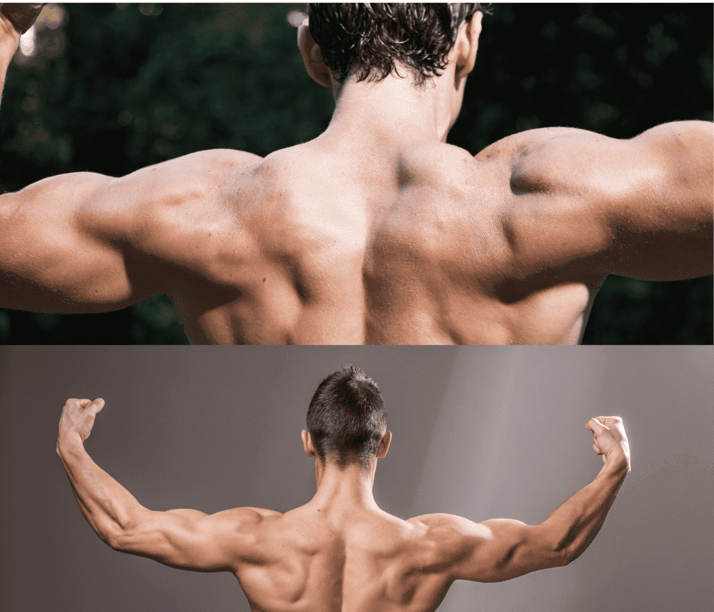 How to Do The Smith Machine Row? (Complete Guide)