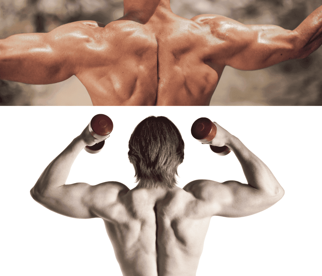 How to Do The Smith Machine Row? (Complete Guide)