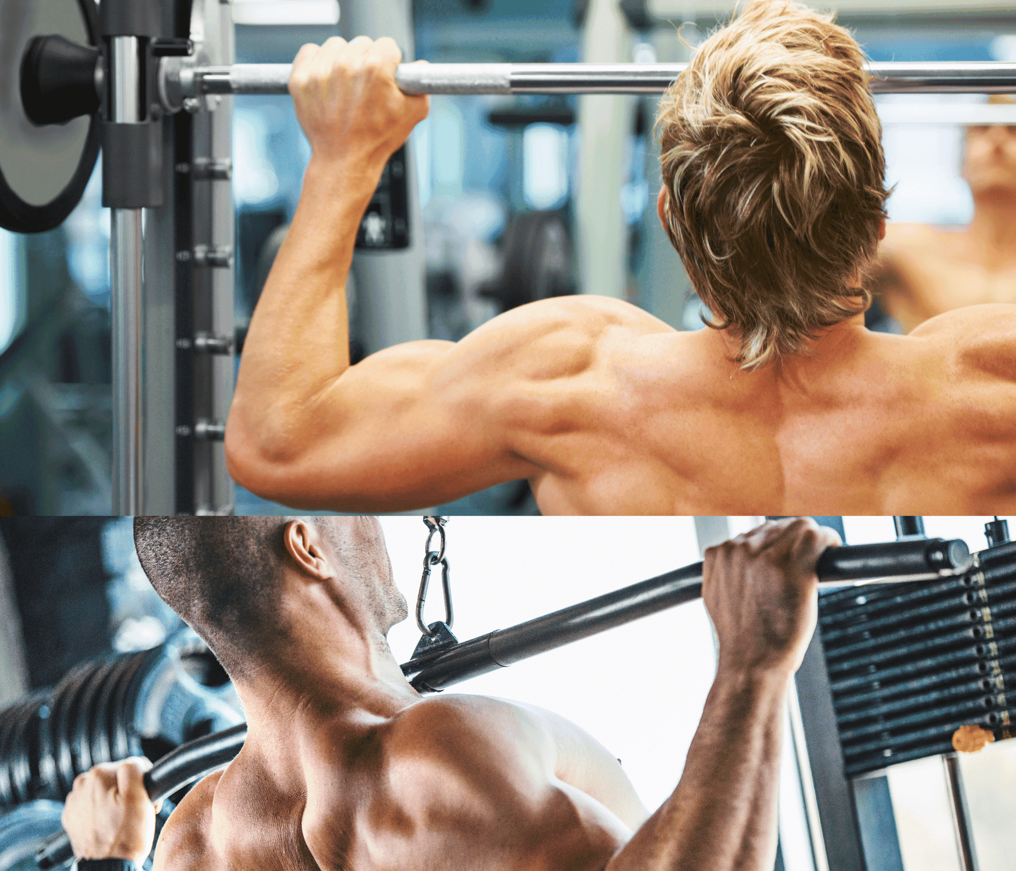 How to Do The Smith Machine Row? (Complete Guide)