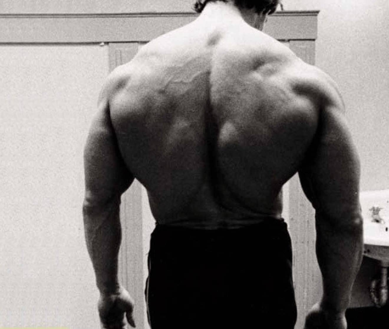 Lat Pushdowns: The Secret to a Strong and Defined Back