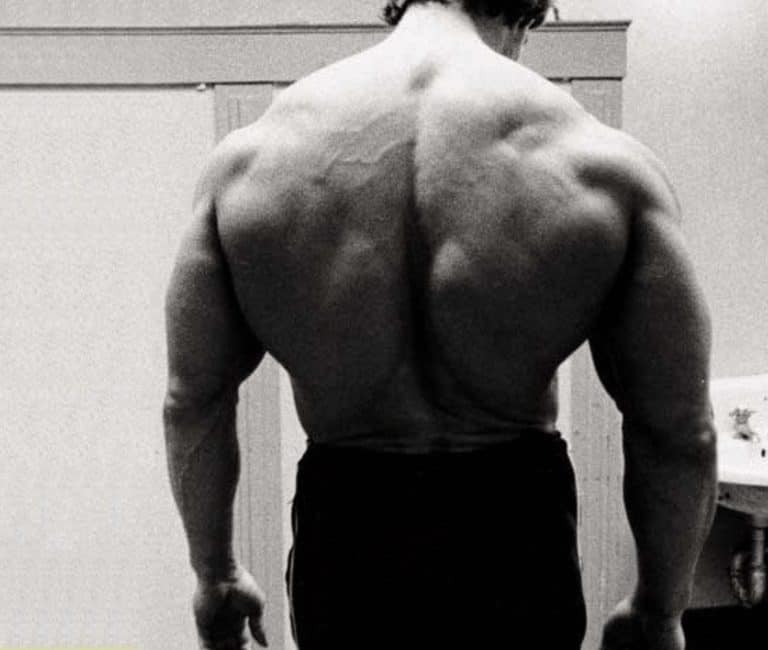 Lat Pushdowns: The Secret to a Strong and Defined Back