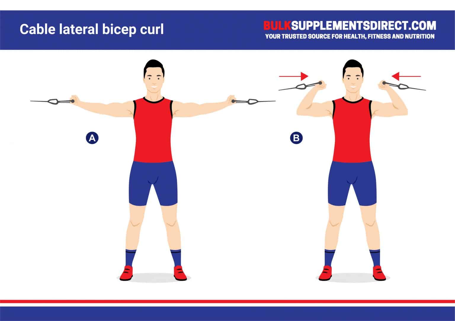 The Lateral Bicep Curl: The Complete How-To Guide (for bigger biceps!)
