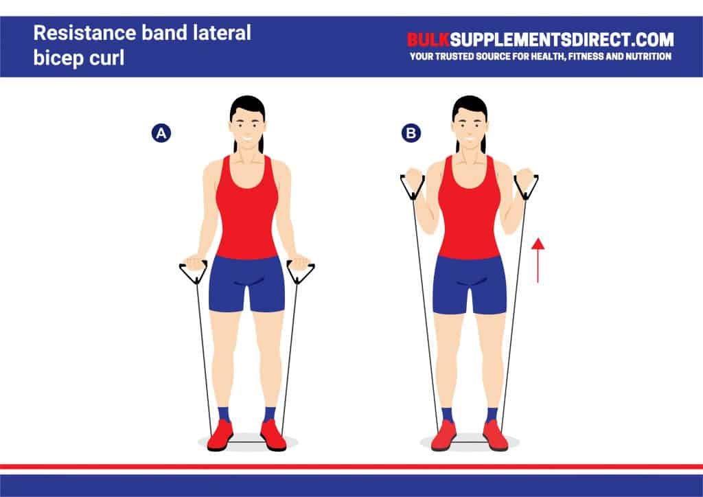 The Lateral Bicep Curl: The Complete How-To Guide (for bigger biceps!)