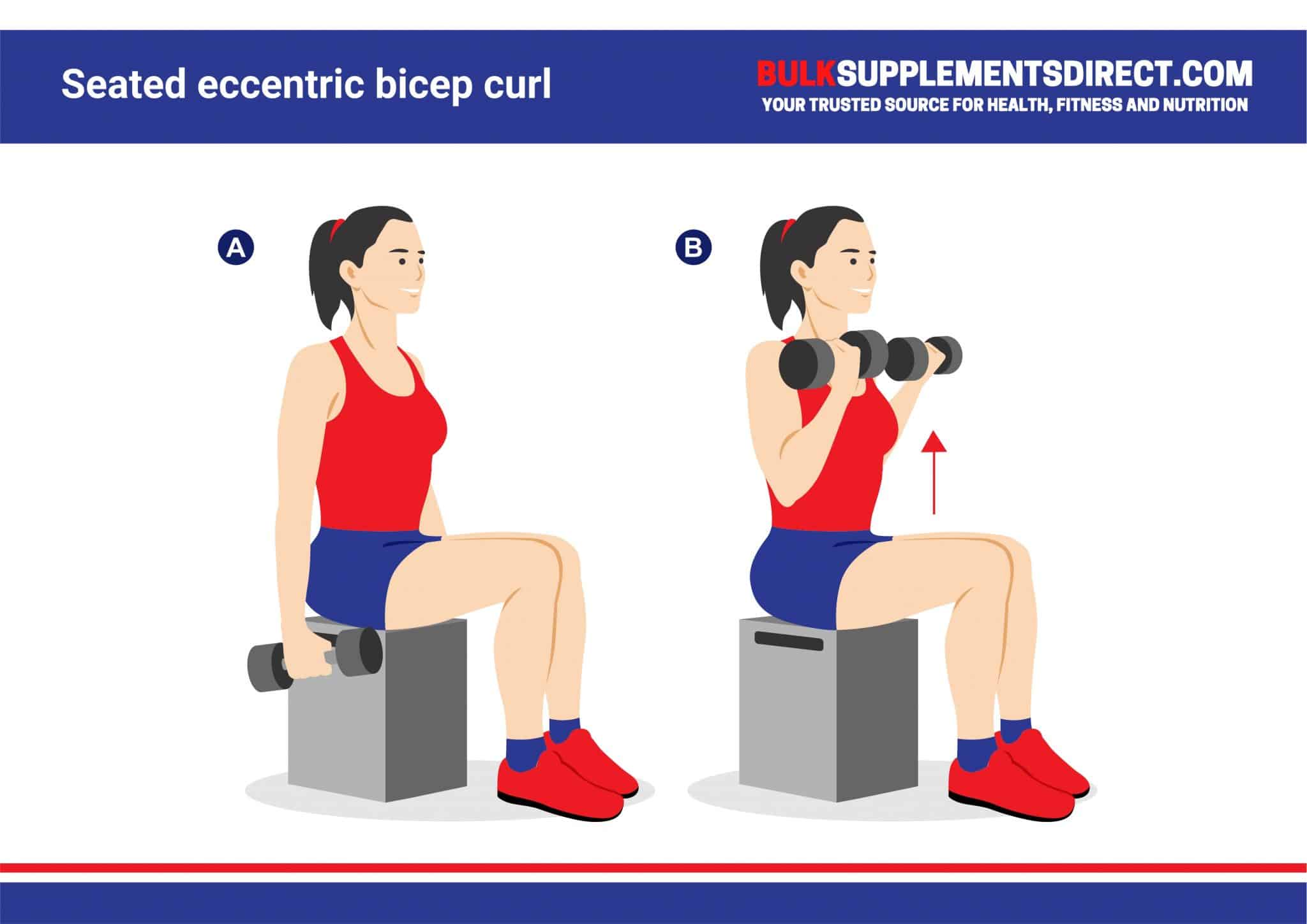 The Eccentric Bicep Curl: How To Pack On Muscle To Your Biceps!