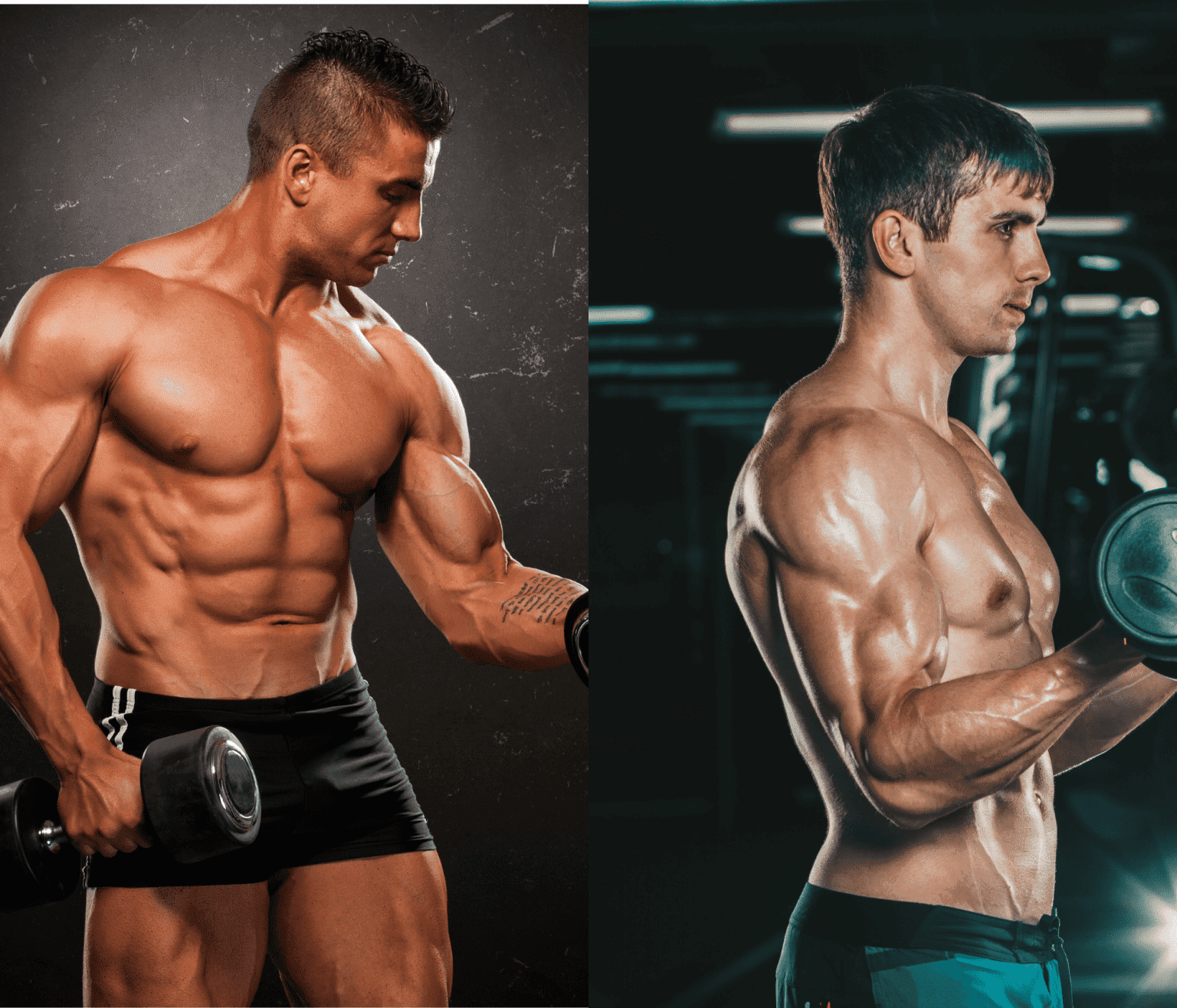 The Eccentric Bicep Curl: How To Pack On Muscle To Your Biceps!