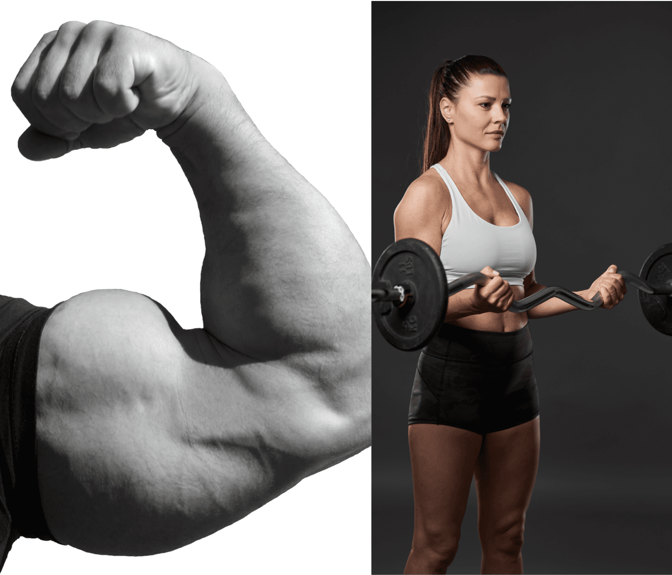 The Eccentric Bicep Curl: How To Pack On Muscle To Your Biceps!
