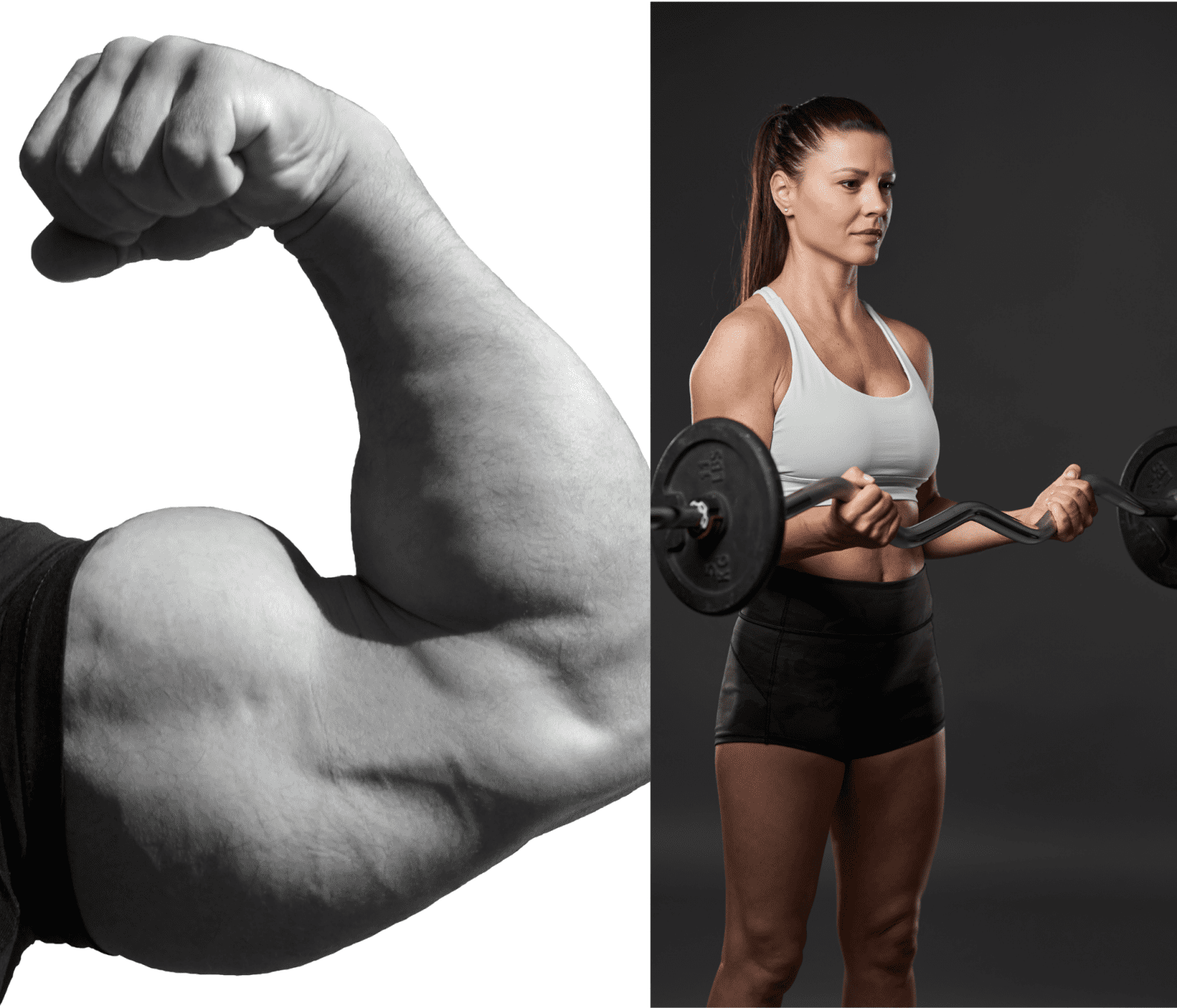 The Eccentric Bicep Curl: How To Pack On Muscle To Your Biceps!