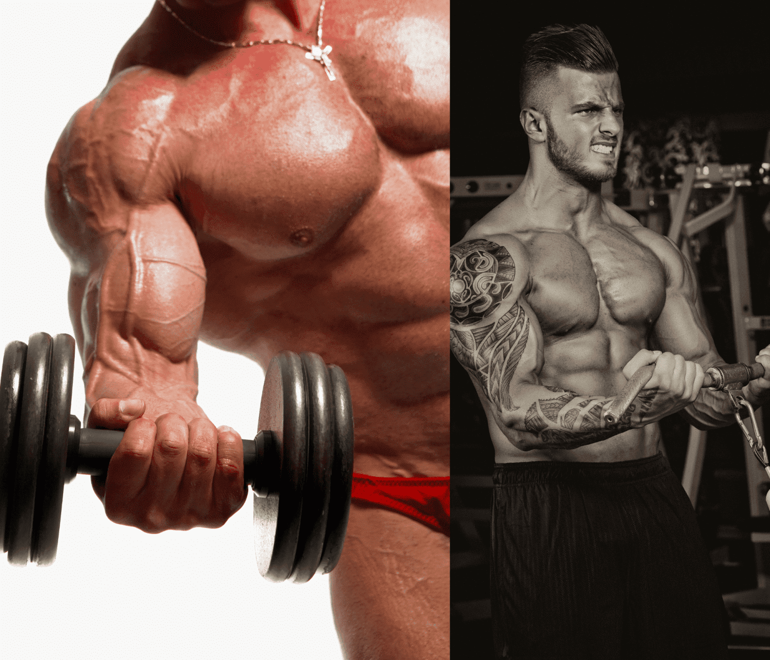 The Lateral Bicep Curl: The Complete How-To Guide (for bigger biceps!)