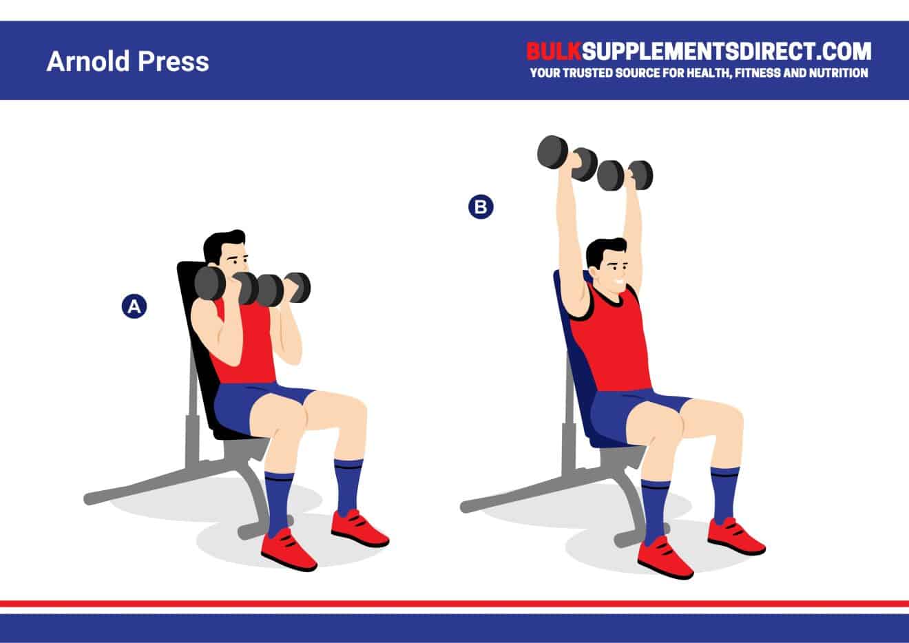 11 Best Compound Shoulder Exercises: Get Huge and Strong Delts