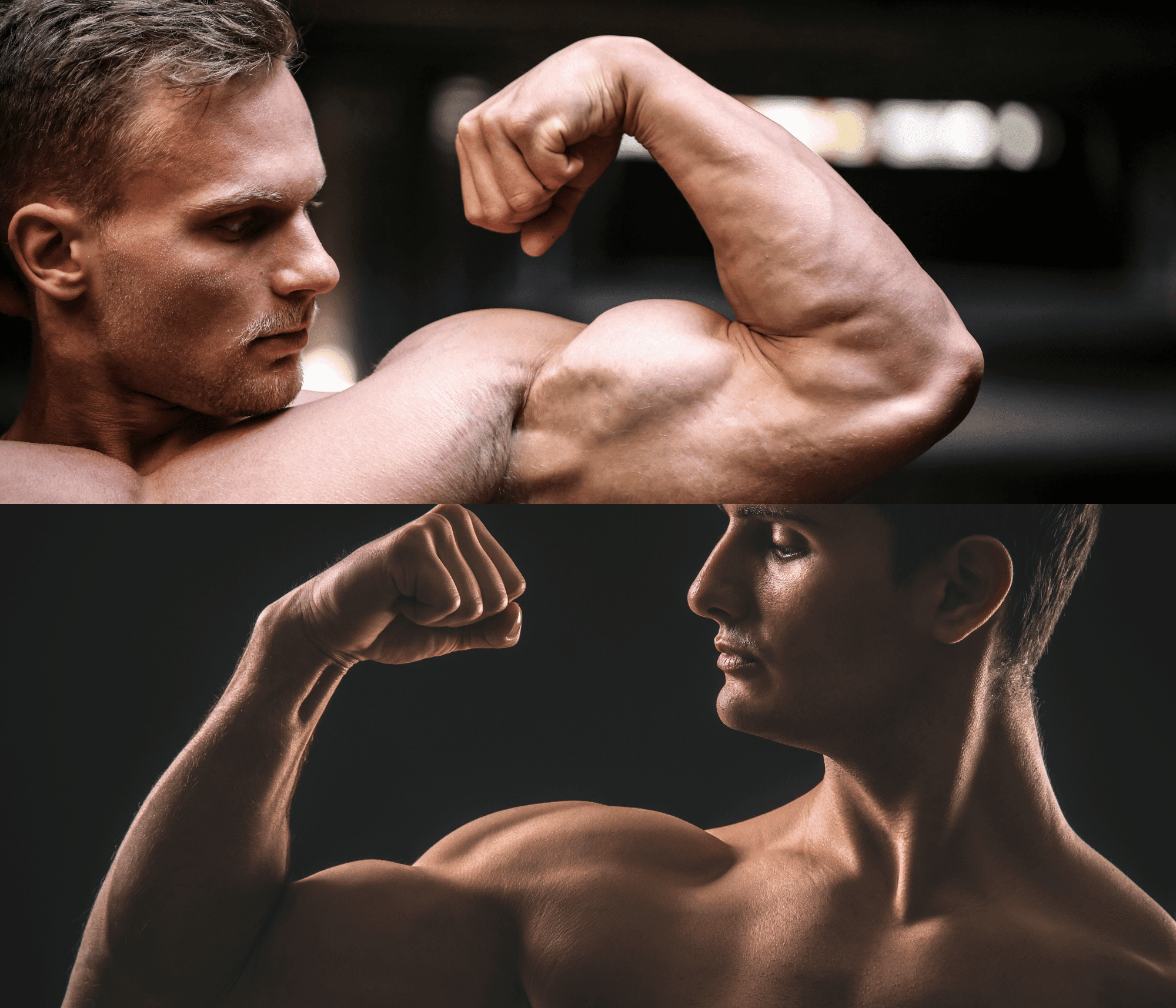 Biceps and Triceps On the Same Day: Build Huge Arms Quickly