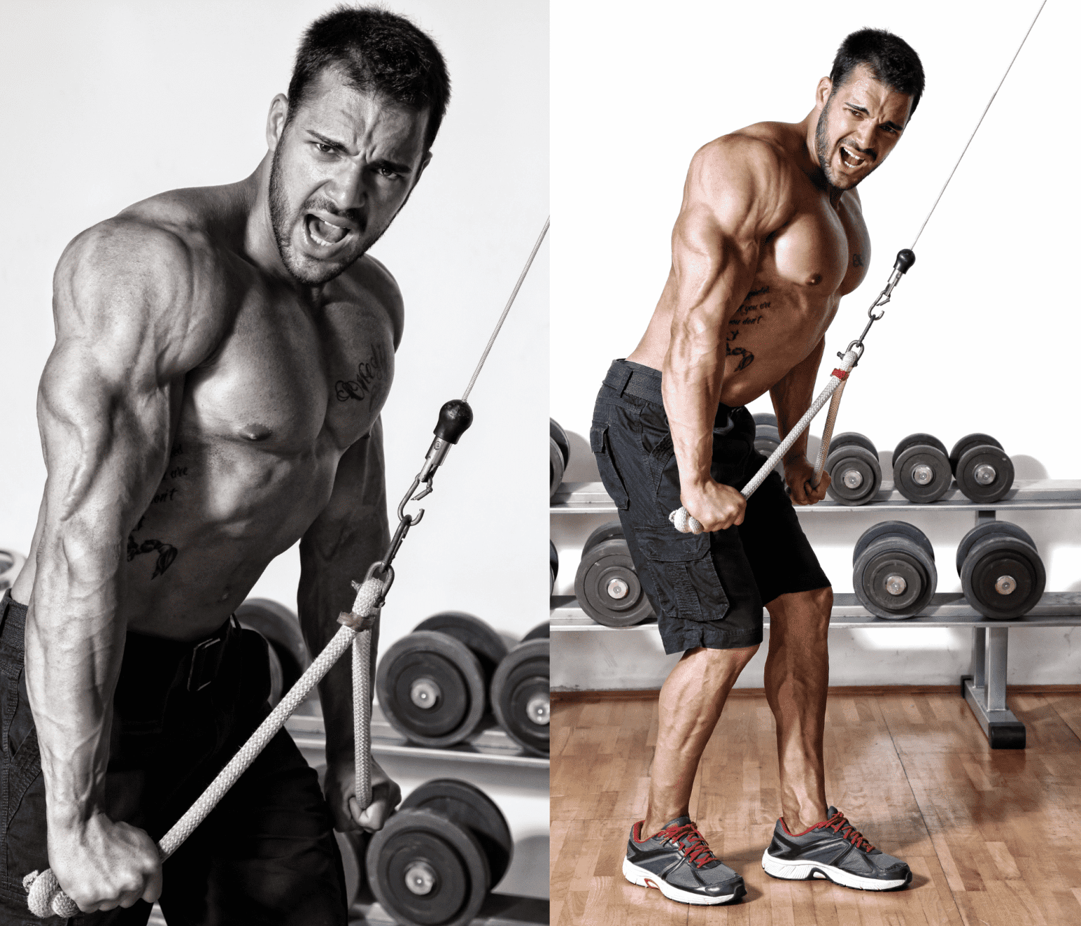 Biceps and Triceps On the Same Day: Build Huge Arms Quickly