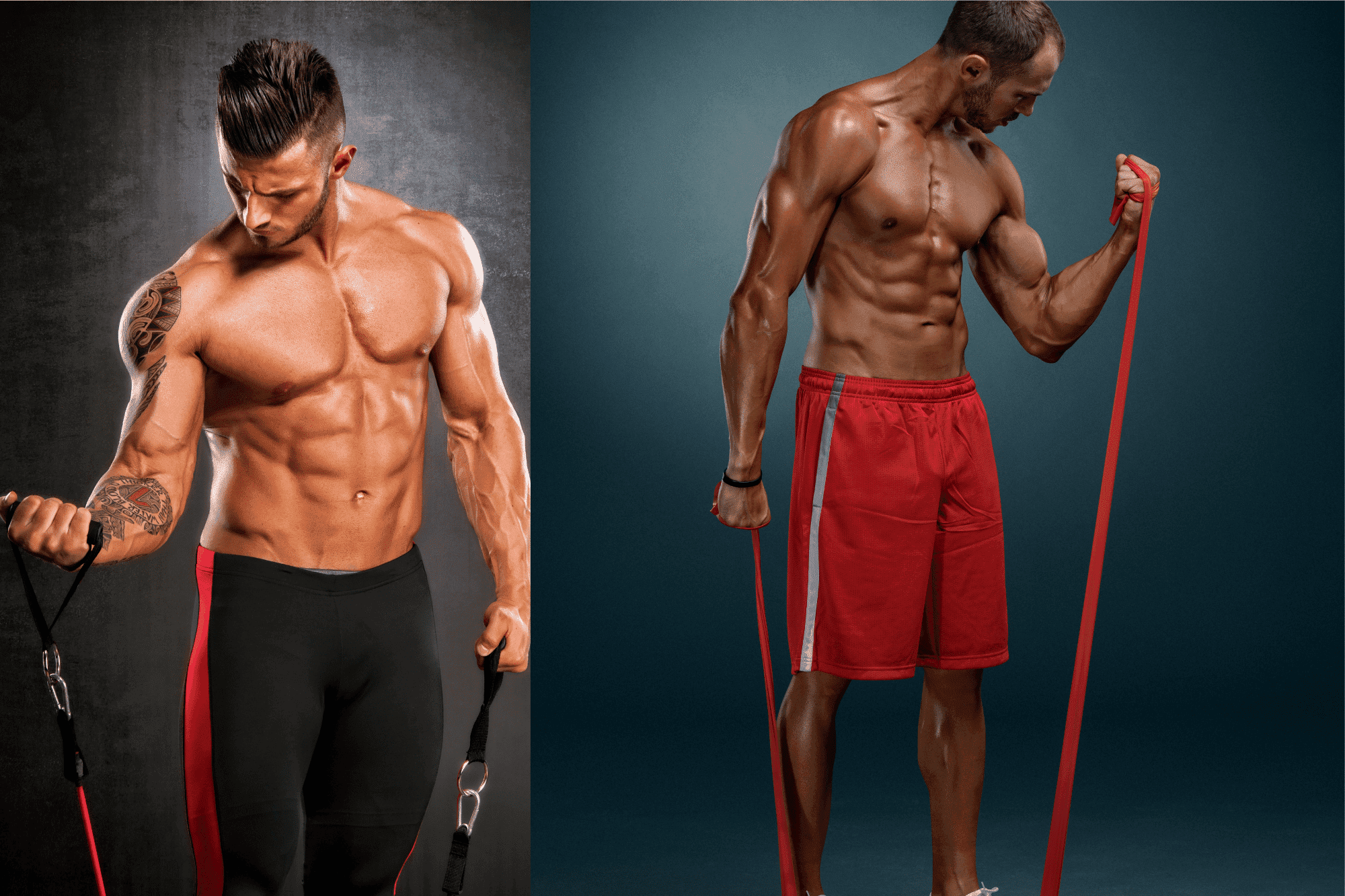 The Ultimate Guide to Bicep Exercises with Resistance Bands