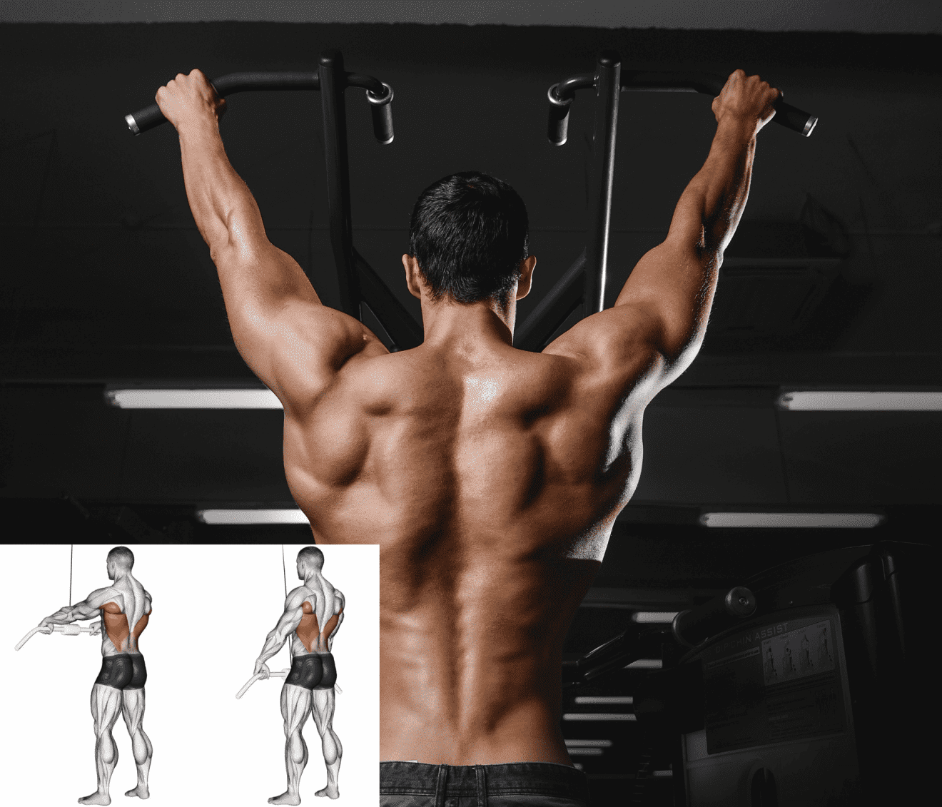 How to Correctly Use The Reverse Pec Deck Machine: Tips And Tricks