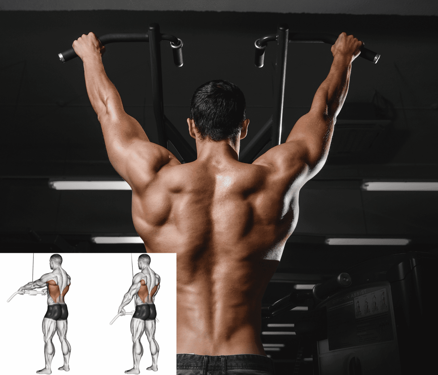 How to Correctly Use The Reverse Pec Deck Machine: Tips And Tricks