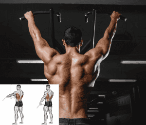The Lateral Bicep Curl: The Complete How-To Guide (for bigger biceps!)