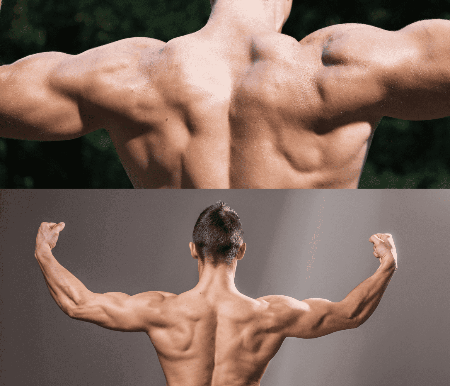 Lat Pushdowns: The Secret to a Strong and Defined Back