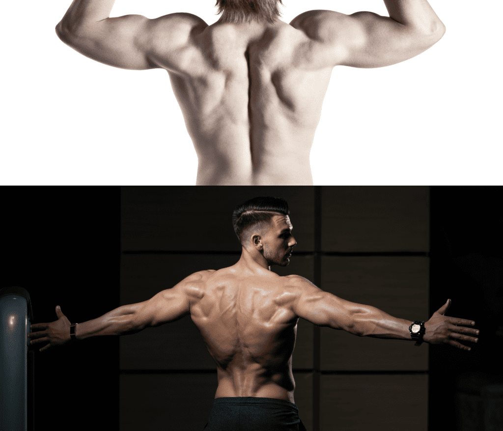 Lat Pushdowns: The Secret to a Strong and Defined Back