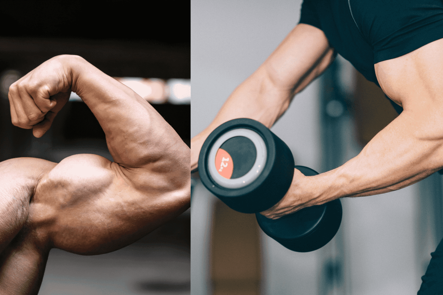 The Lateral Bicep Curl: The Complete How-To Guide (for bigger biceps!)