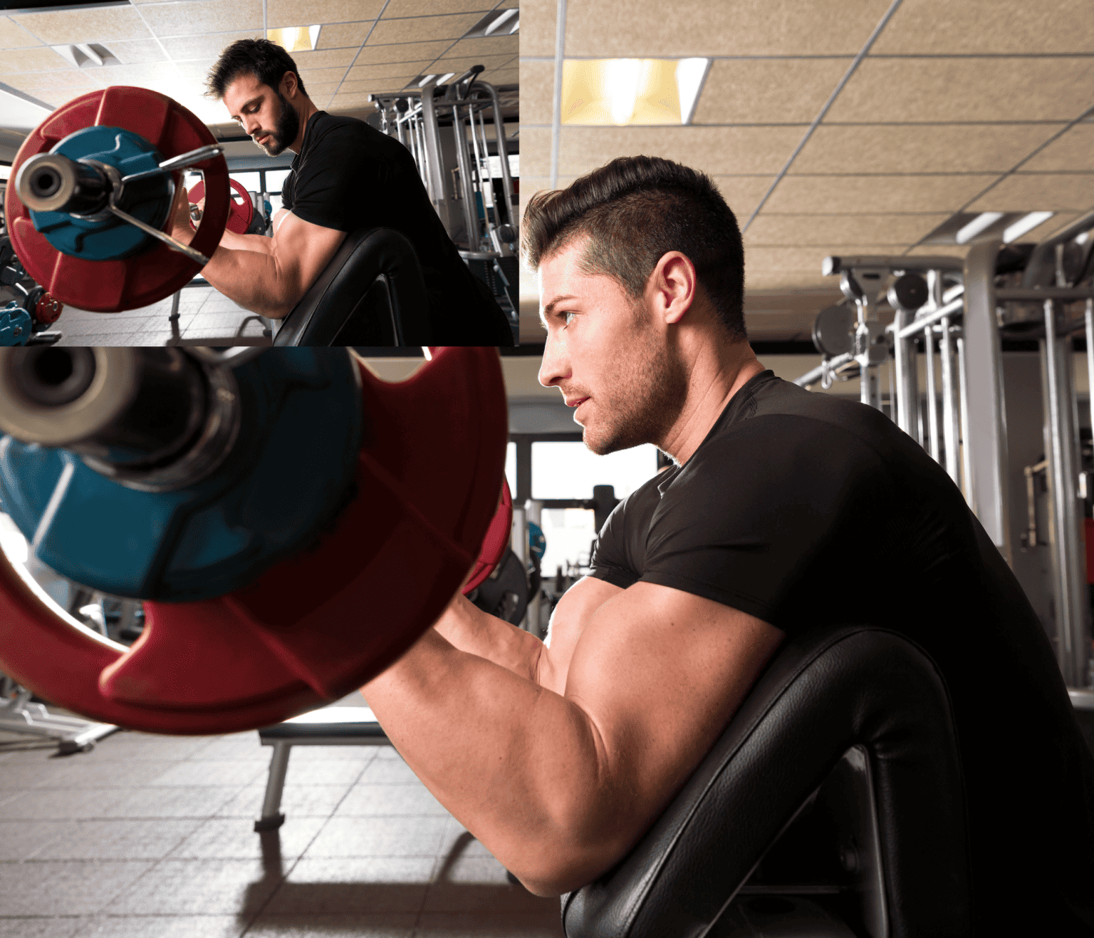 The Lateral Bicep Curl: The Complete How-To Guide (for bigger biceps!)