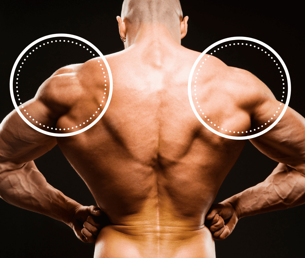 The Rear Delt Cable Fly: Tips, Benefits, And How to Do Them