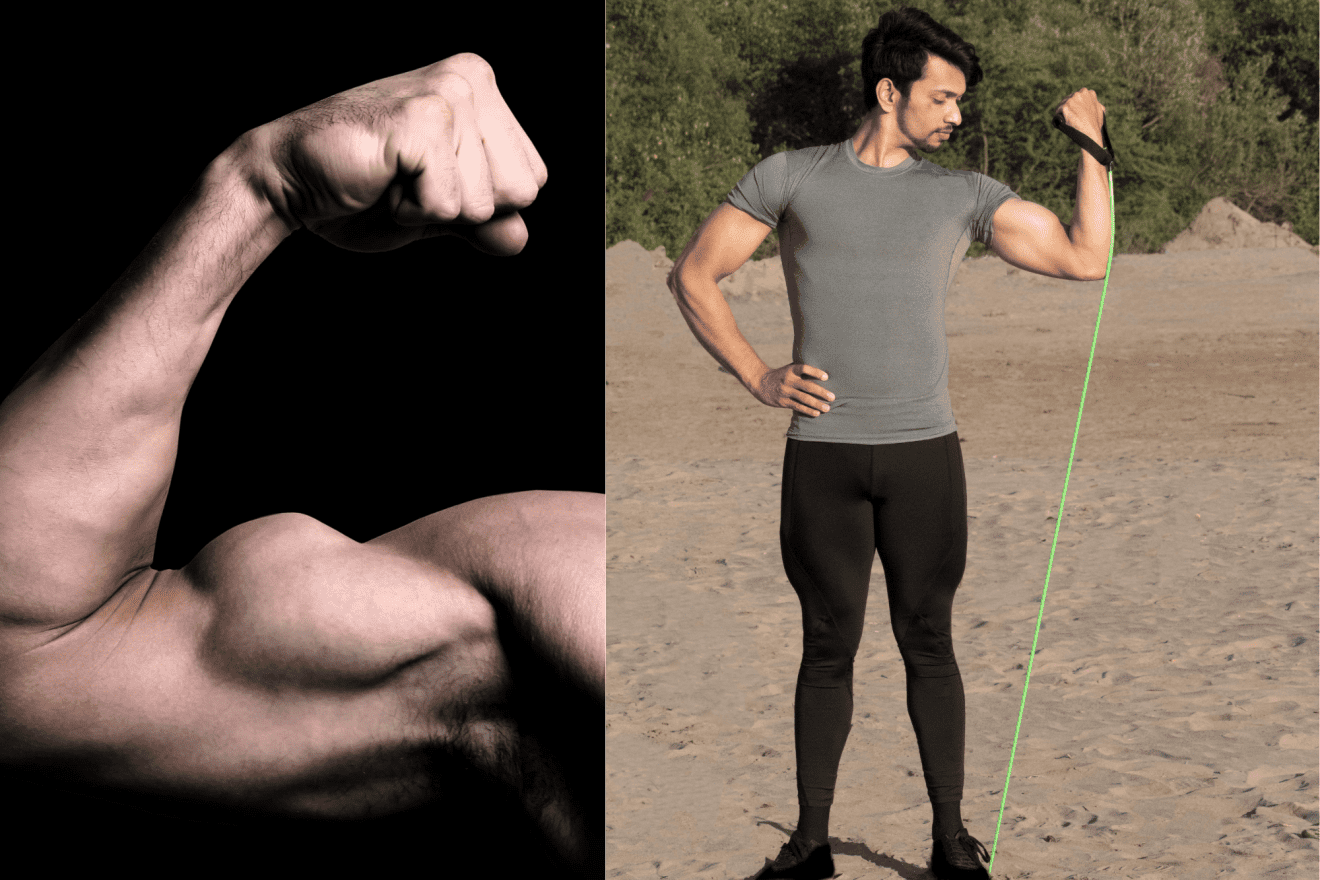 The Ultimate Guide to Bicep Exercises with Resistance Bands