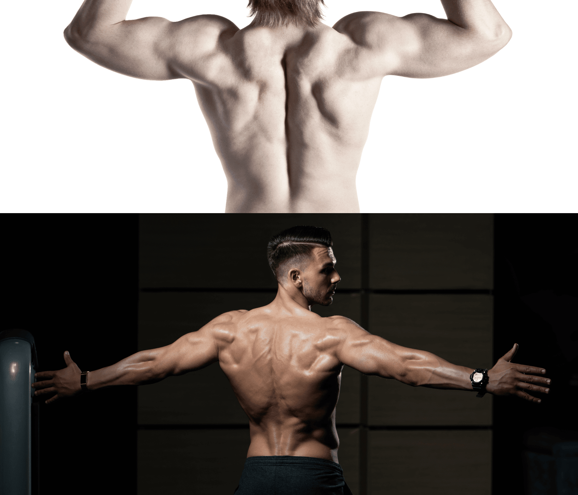 Lat Pushdowns: The Secret to a Strong and Defined Back